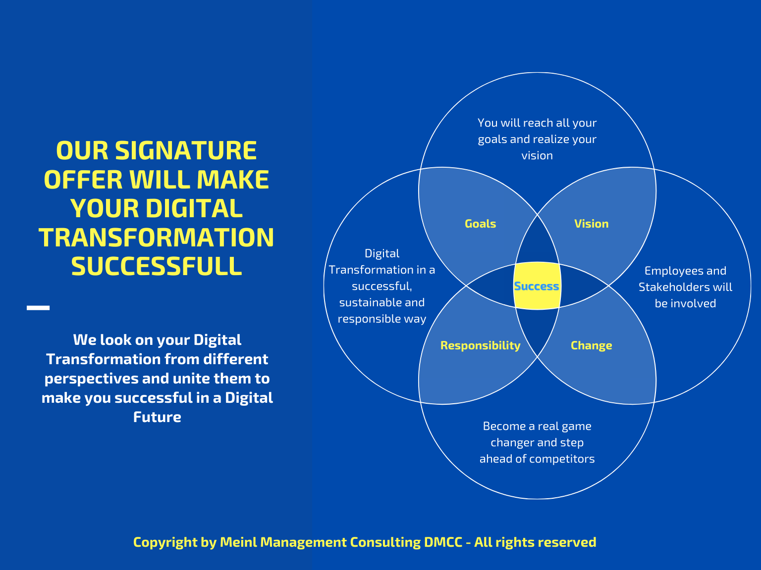 Holistic Digital Transformation – Meinl Management Consulting